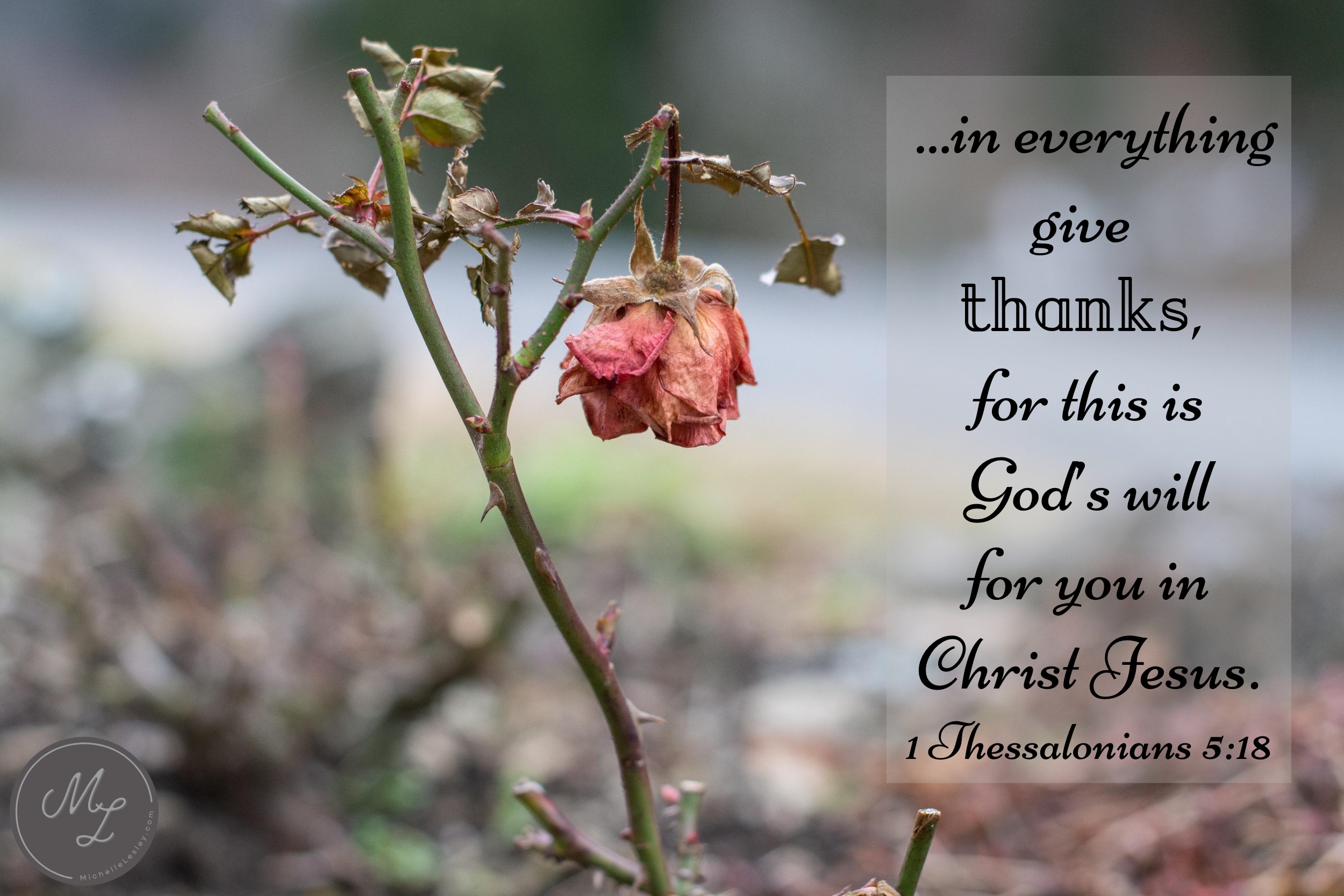 Top Ten Bible Verses on Giving Thanks – Michelle Lesley