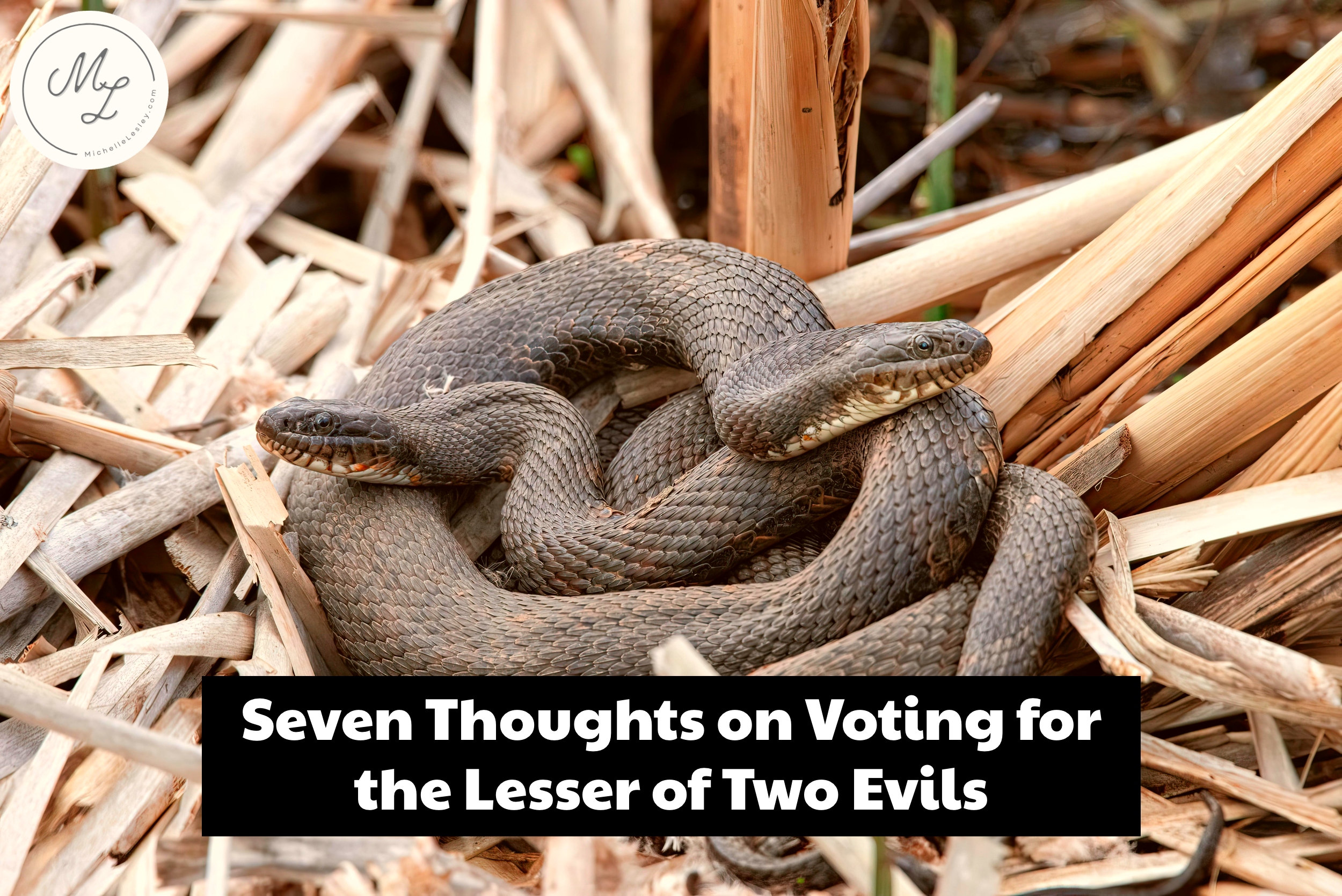 Seven Thoughts on Voting for the Lesser of Two Evils – Michelle Lesley