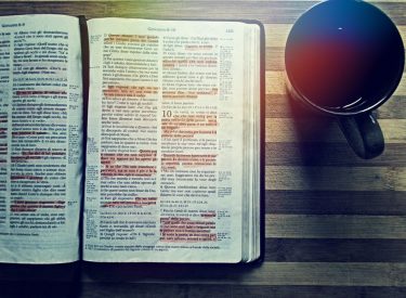 What’s Our Next Bible Study? – Michelle Lesley