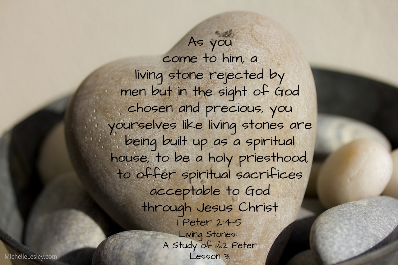Living Stones: A Study of 1 & 2 Peter ~ Lesson 3 – Michelle Lesley