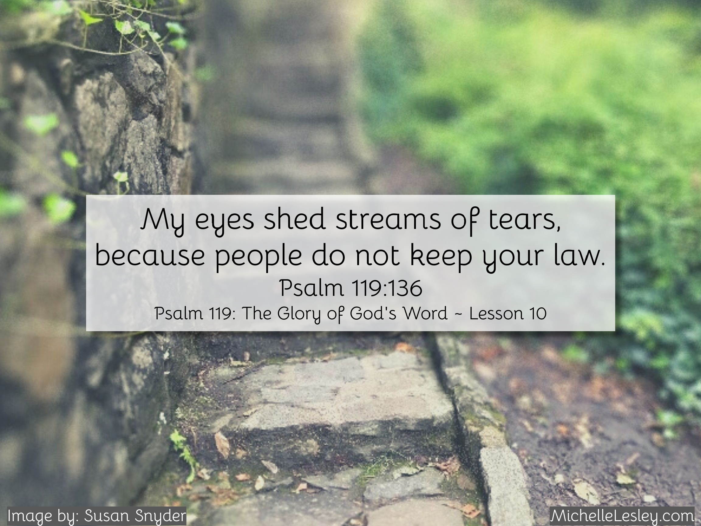 Psalm 119 Bible Study – Michelle Lesley