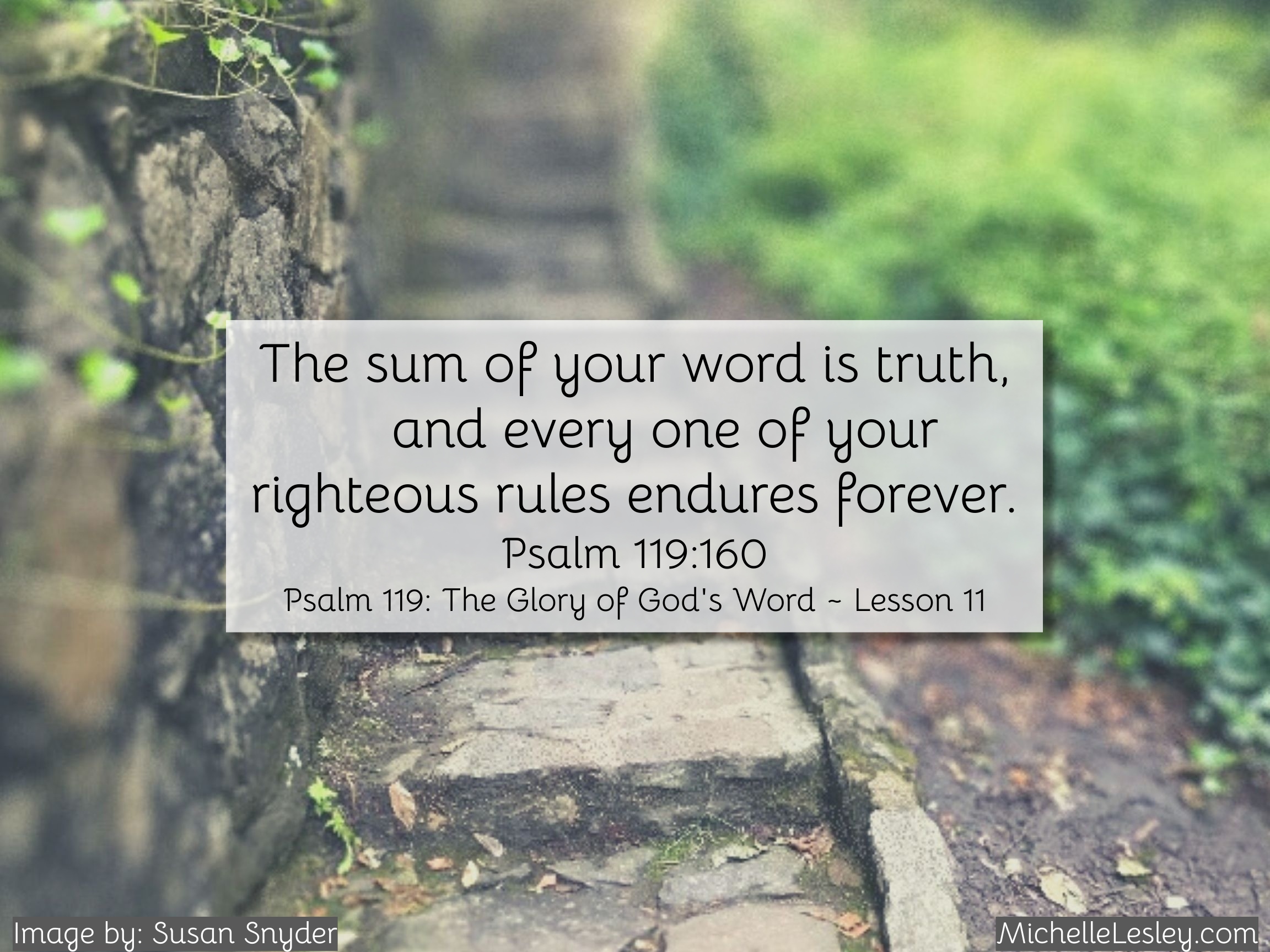 Psalm 119 Bible Study – Michelle Lesley
