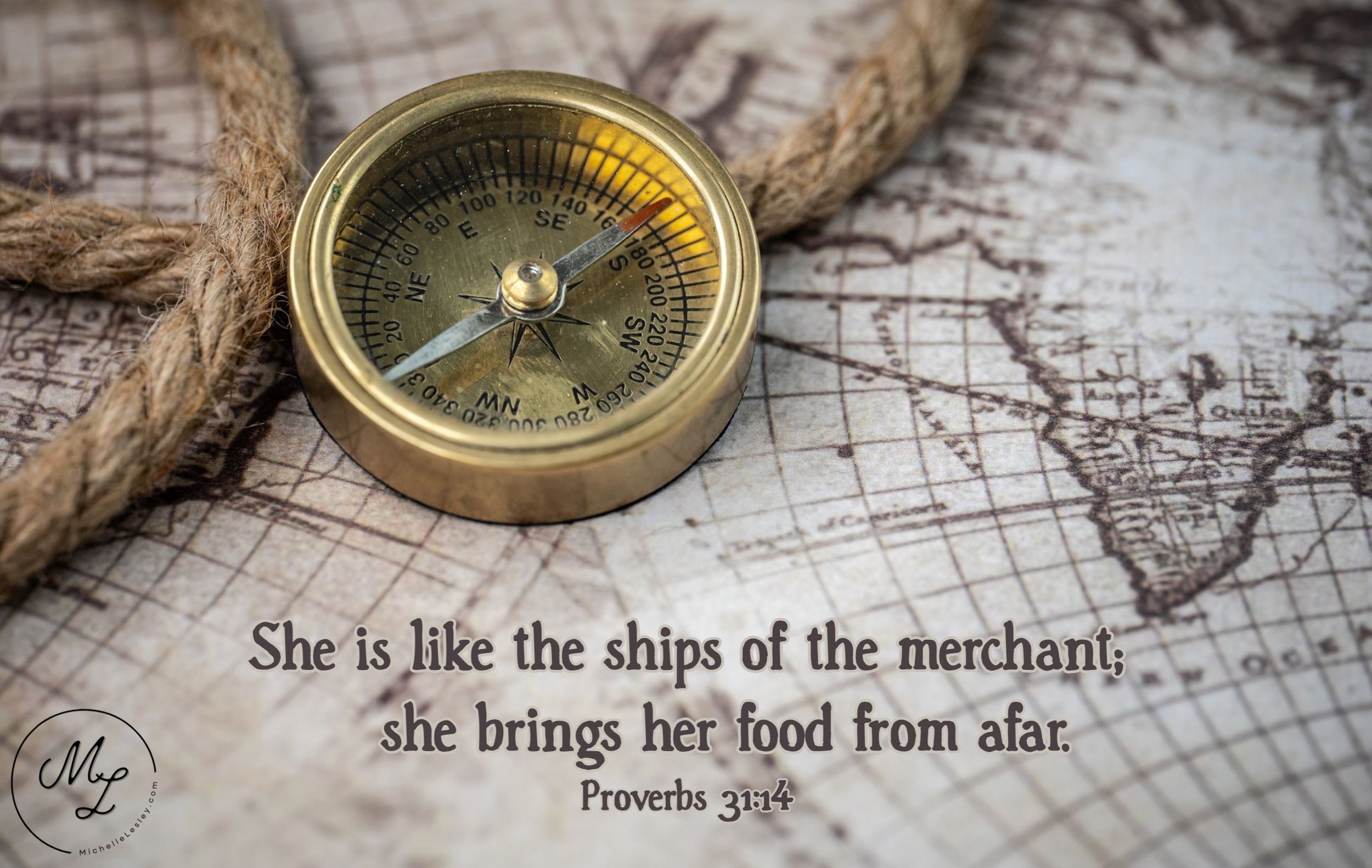 Proverbs 31 Memory Memes – Michelle Lesley