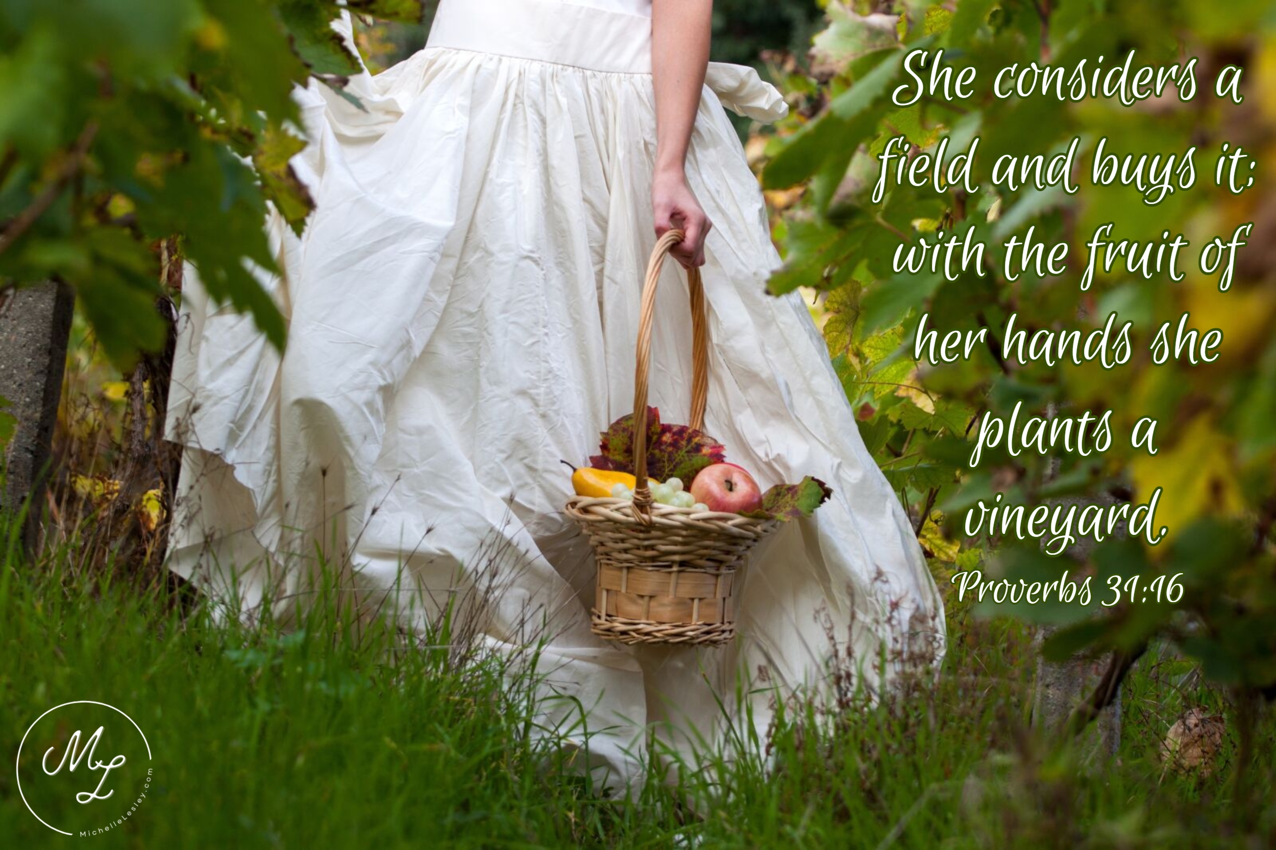 Proverbs 31 Memory Memes – Michelle Lesley