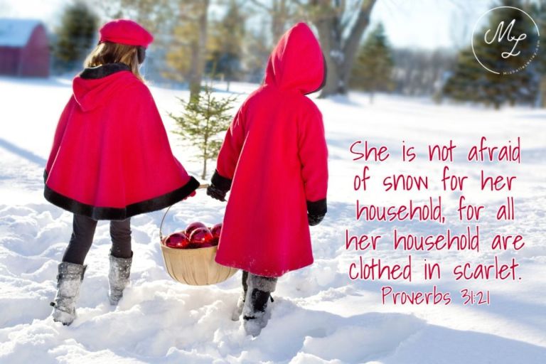 Proverbs 31 Memory Memes – Michelle Lesley