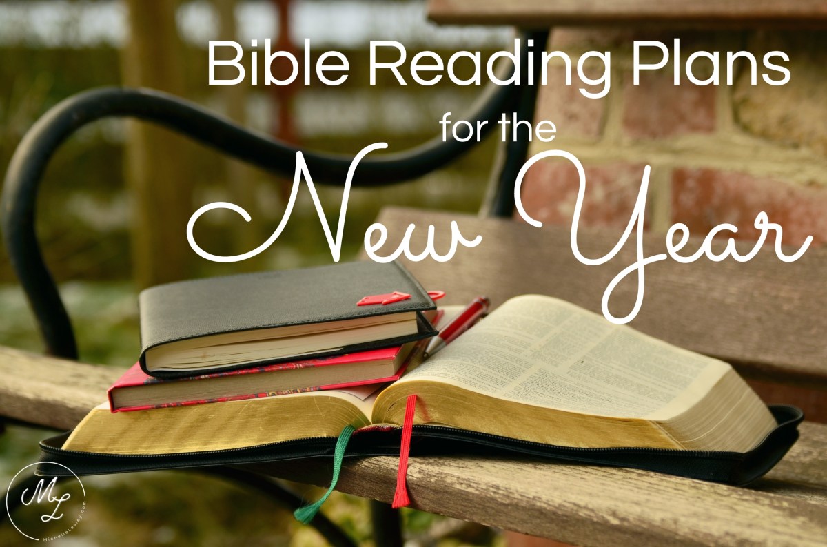 Reading Bible The New Testament In 21 Days Bible Reading Plan