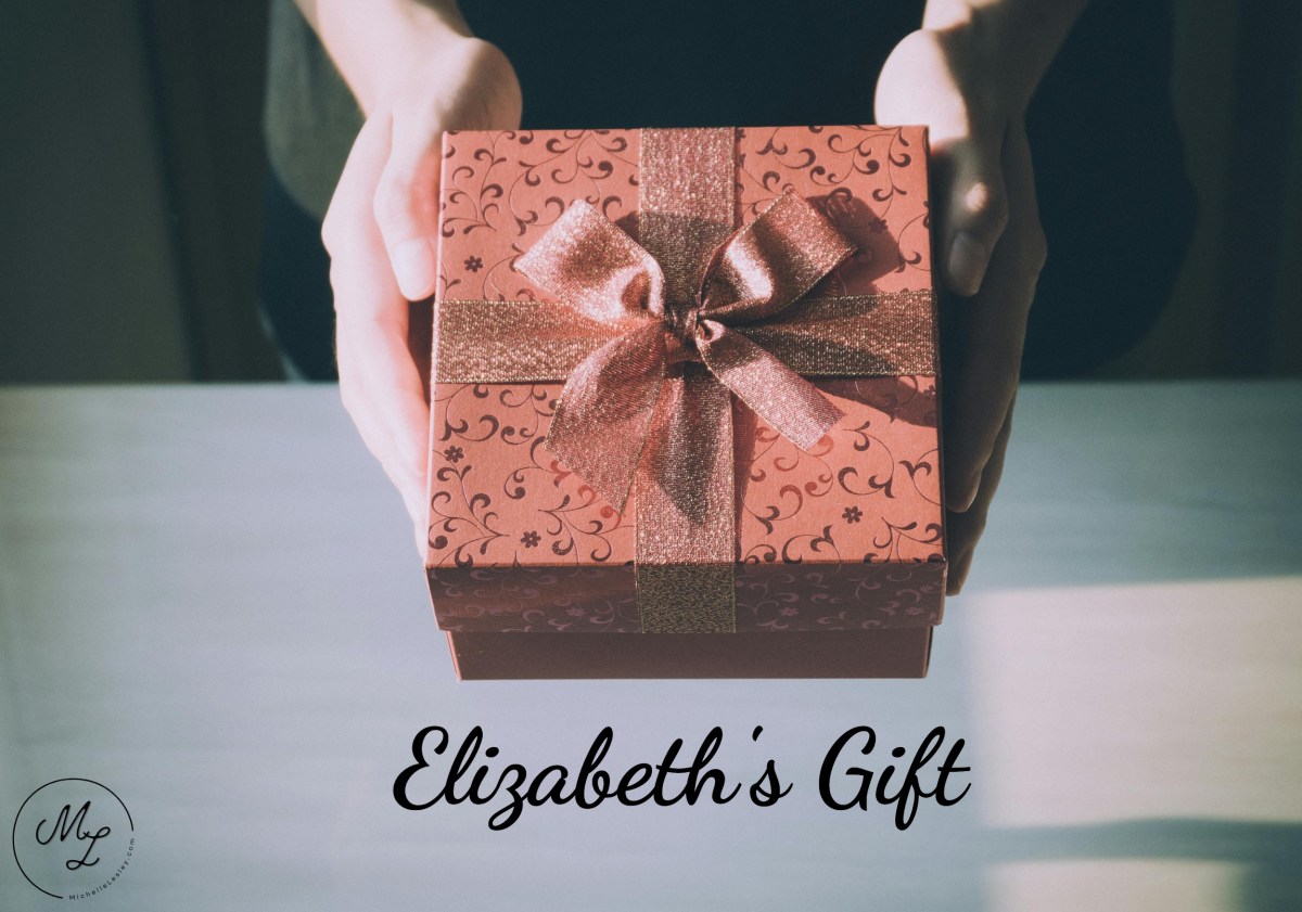Elizabeth’s Gift – Michelle Lesley